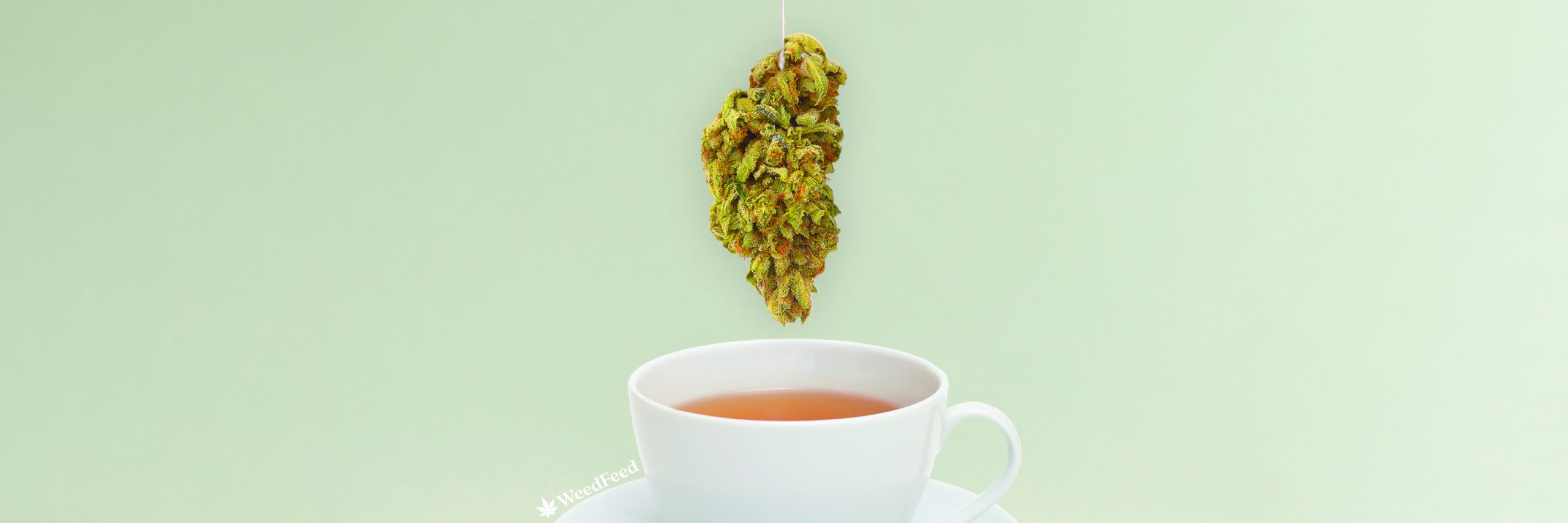 How to make Cannabis Tea - WeedFeed