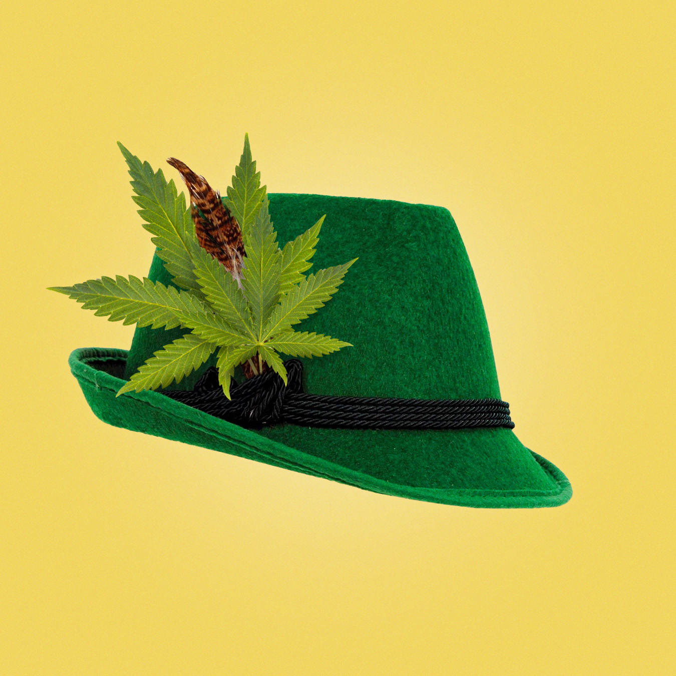 Cannabis Legalization Gains Momentum in Germany - WeedFeed